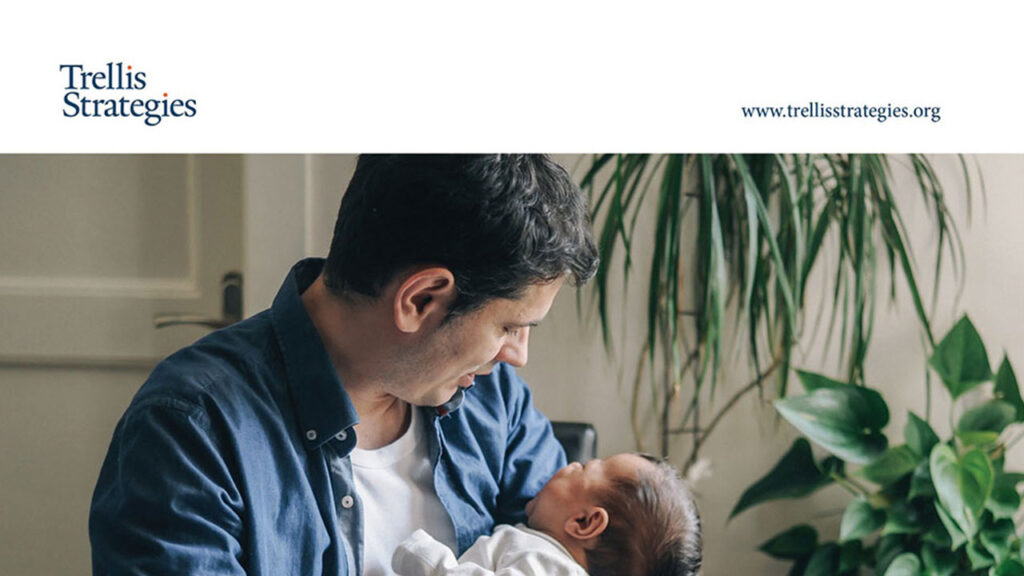 Research Hub - Trellis Strategies