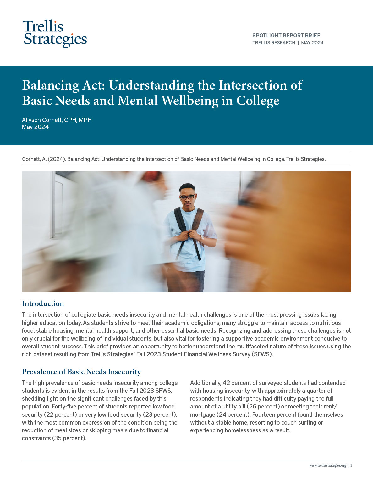 Intersection of Basic Needs and Mental Wellbeing in College