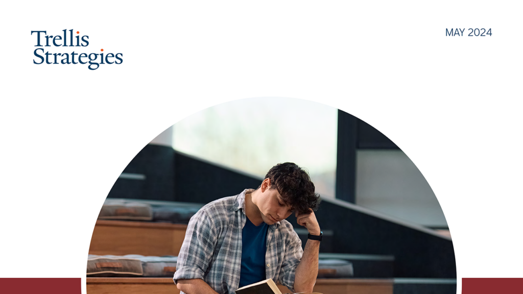 Research Hub - Trellis Strategies